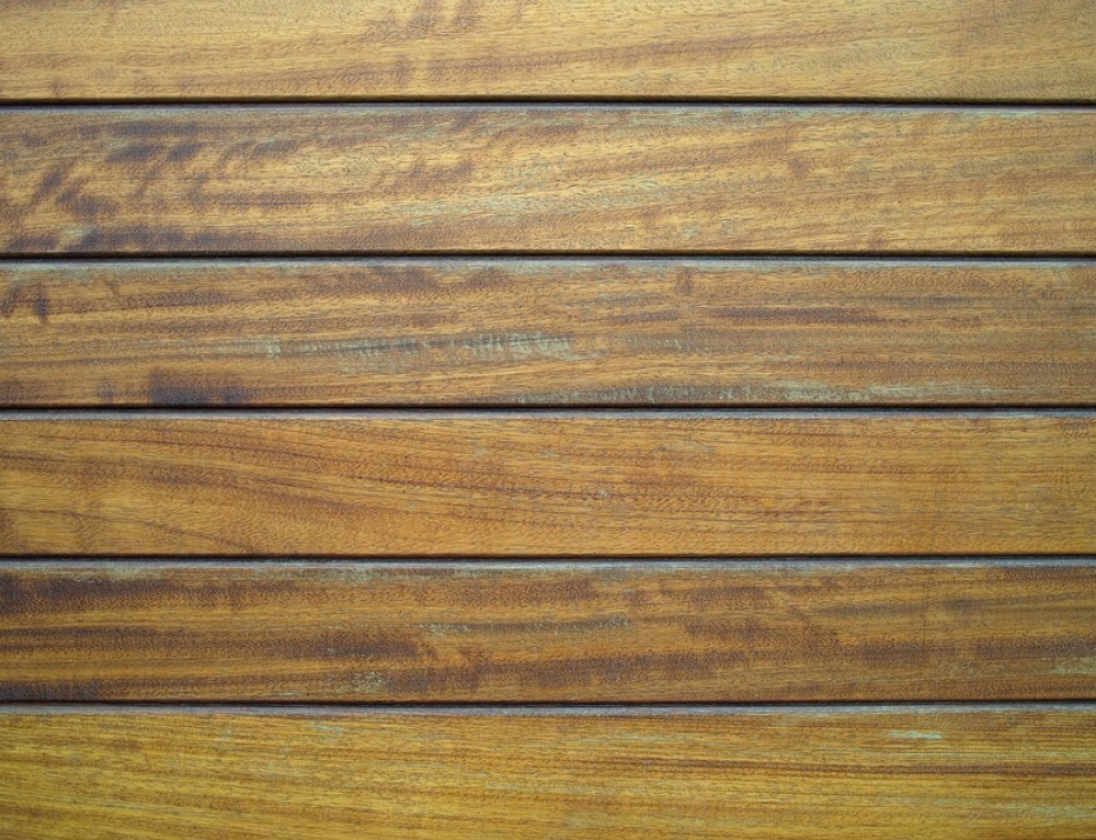 Ce qu’il faut savoir sur le pin maritime - Petite Maison Bois